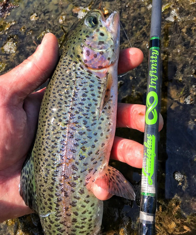 Infinity Ultralight – Lamiglas