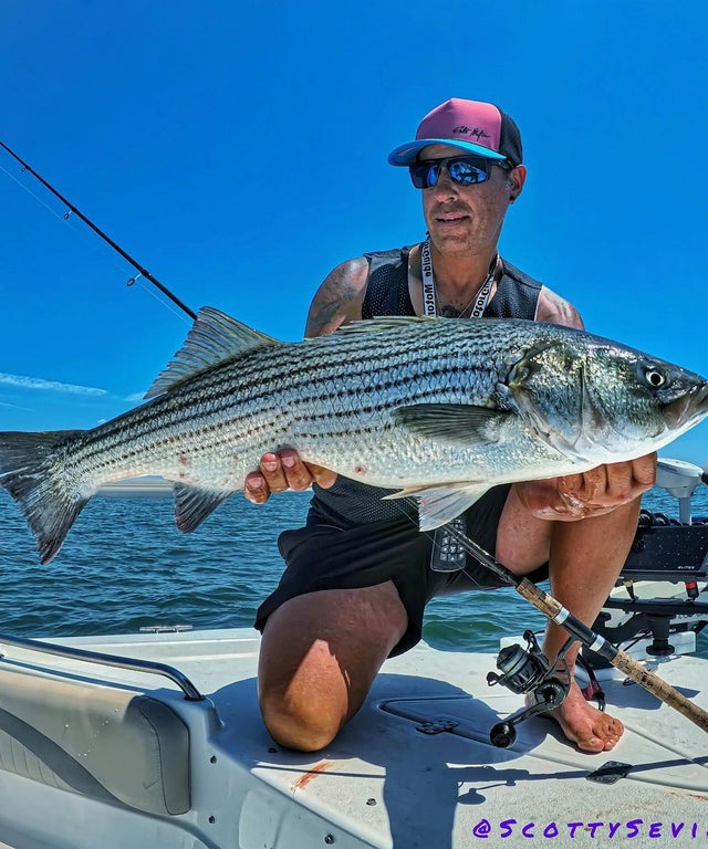 Black Inshore – Lamiglas