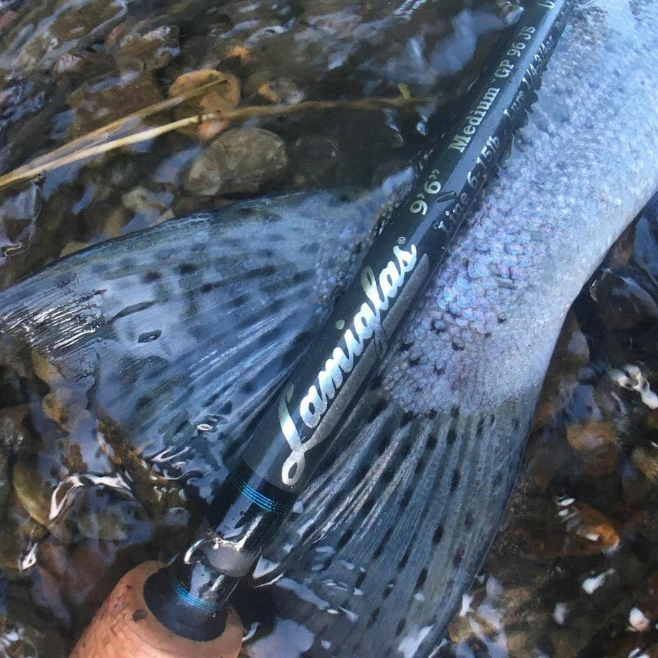 Fishing Rods – Lamiglas