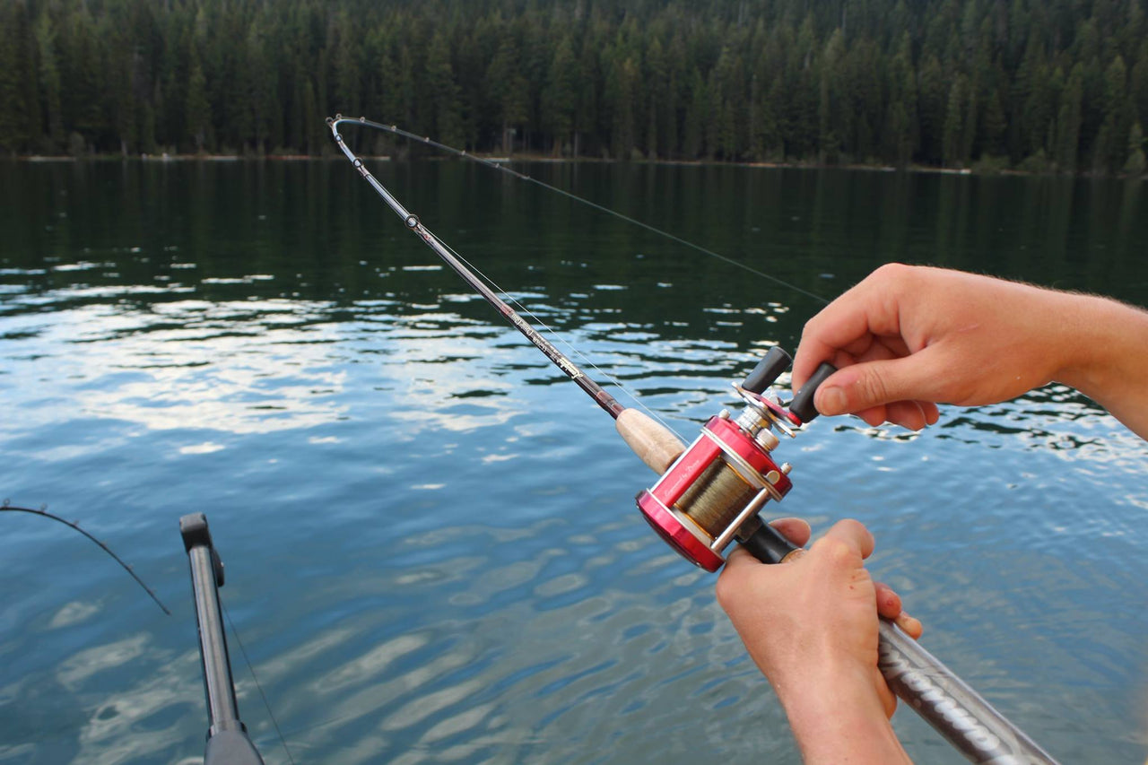 Rod Education – Lamiglas