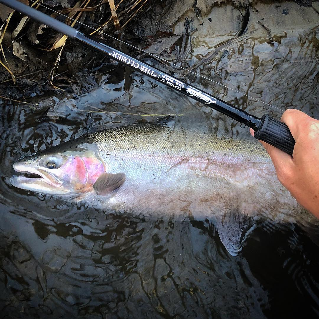 Lamiglas | Fishing Rods & Rod Blanks